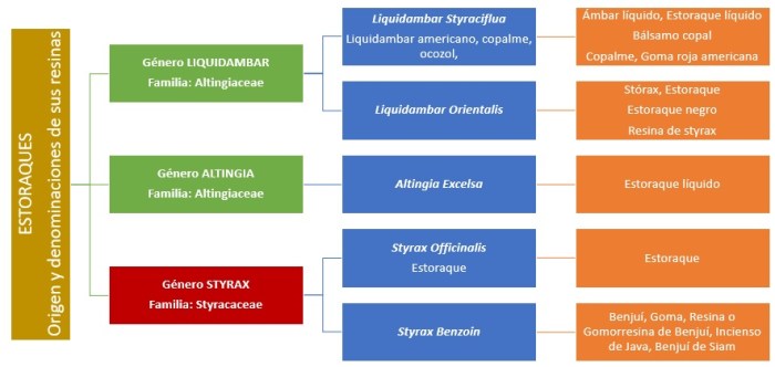 DE ESTORAQUES | Azu Factoría Natural